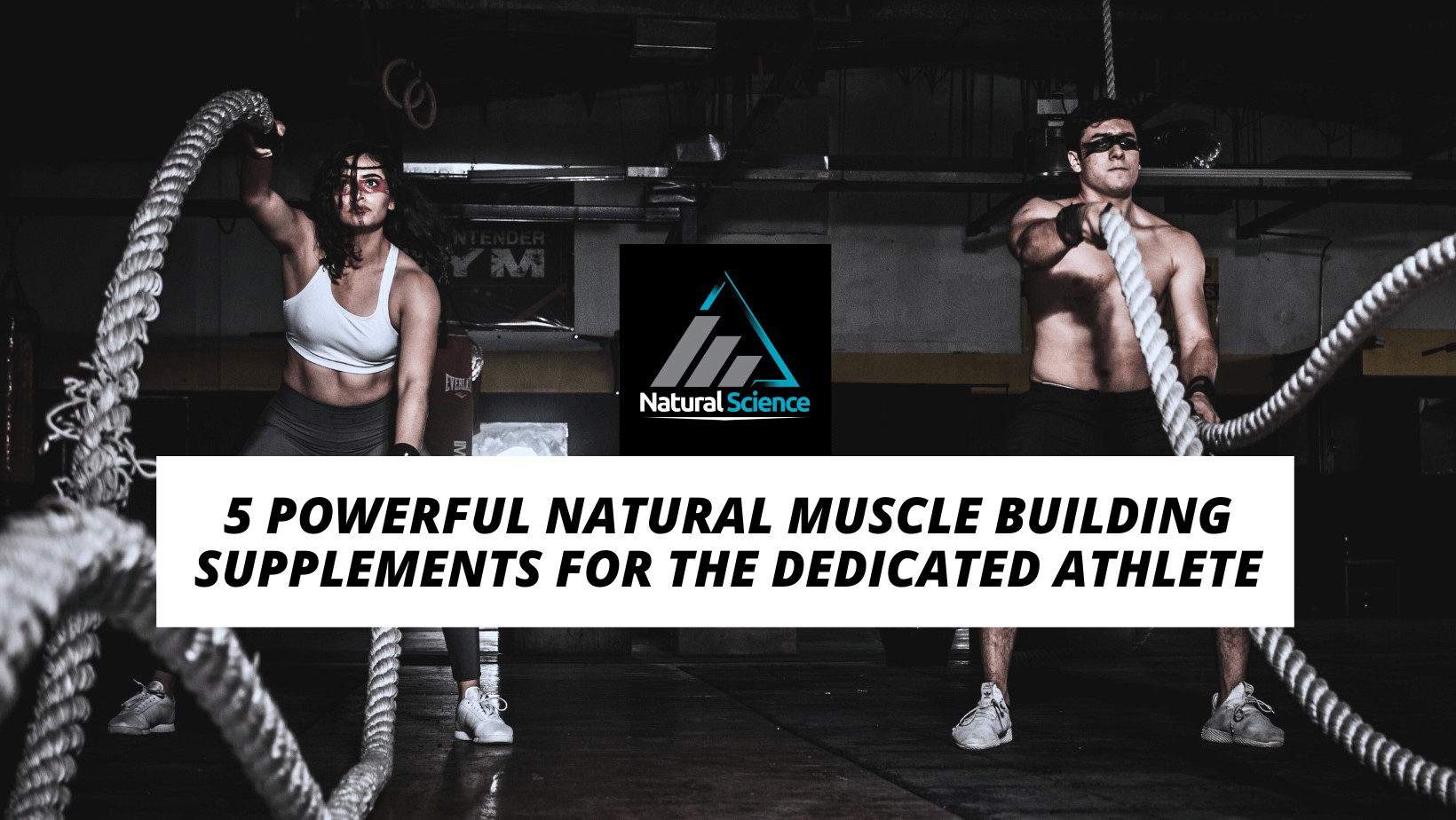 5 Powerful Natural Muscle Building Supplements for the Dedicated Athle ...